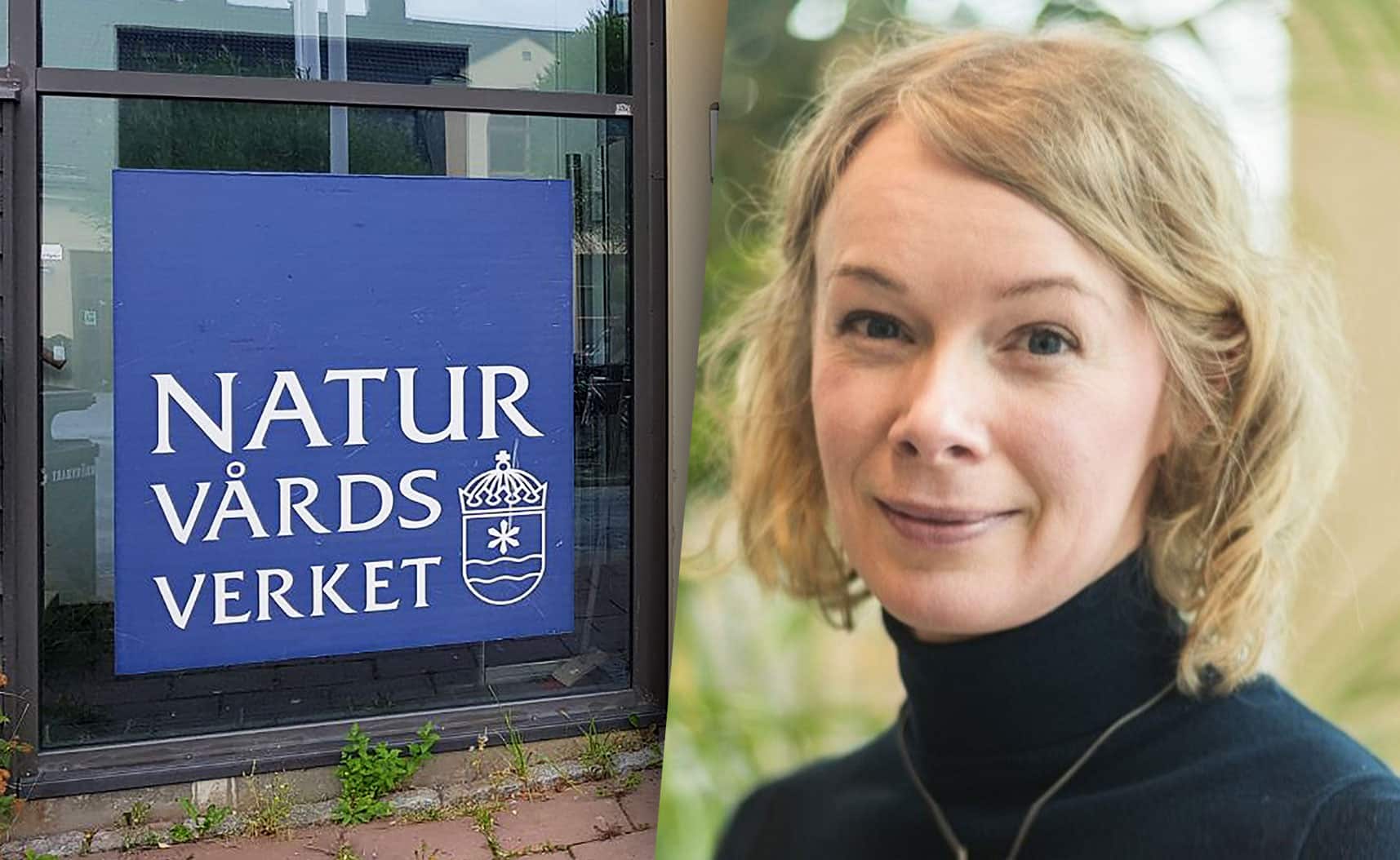 Försvaret efter plastkassemissen: "Fortfarande tufft att nå målet ...