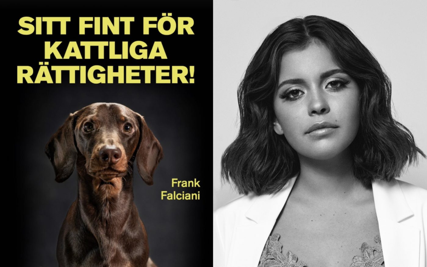 Nicole Falcianis influencer-hund frontar kampanj: "För katters ...